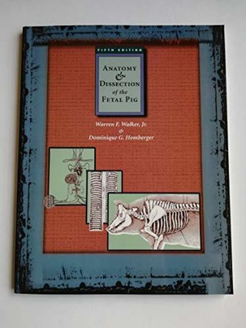 Anatomy & Dissection of the Fetal Pig by Warren F Walker, Dominique G ...