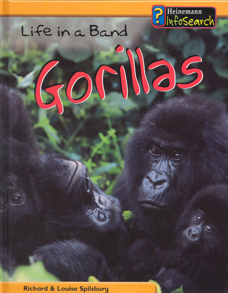 Animal Groups: Life in a Band of Gorillas Hardback by Spilsbury, Louise ...