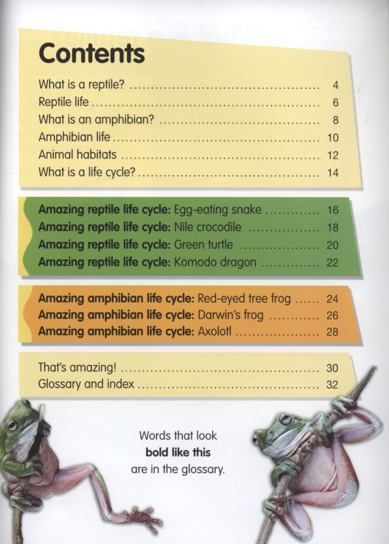 Reptiles and amphibians
