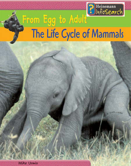 The life cycle of mammals
