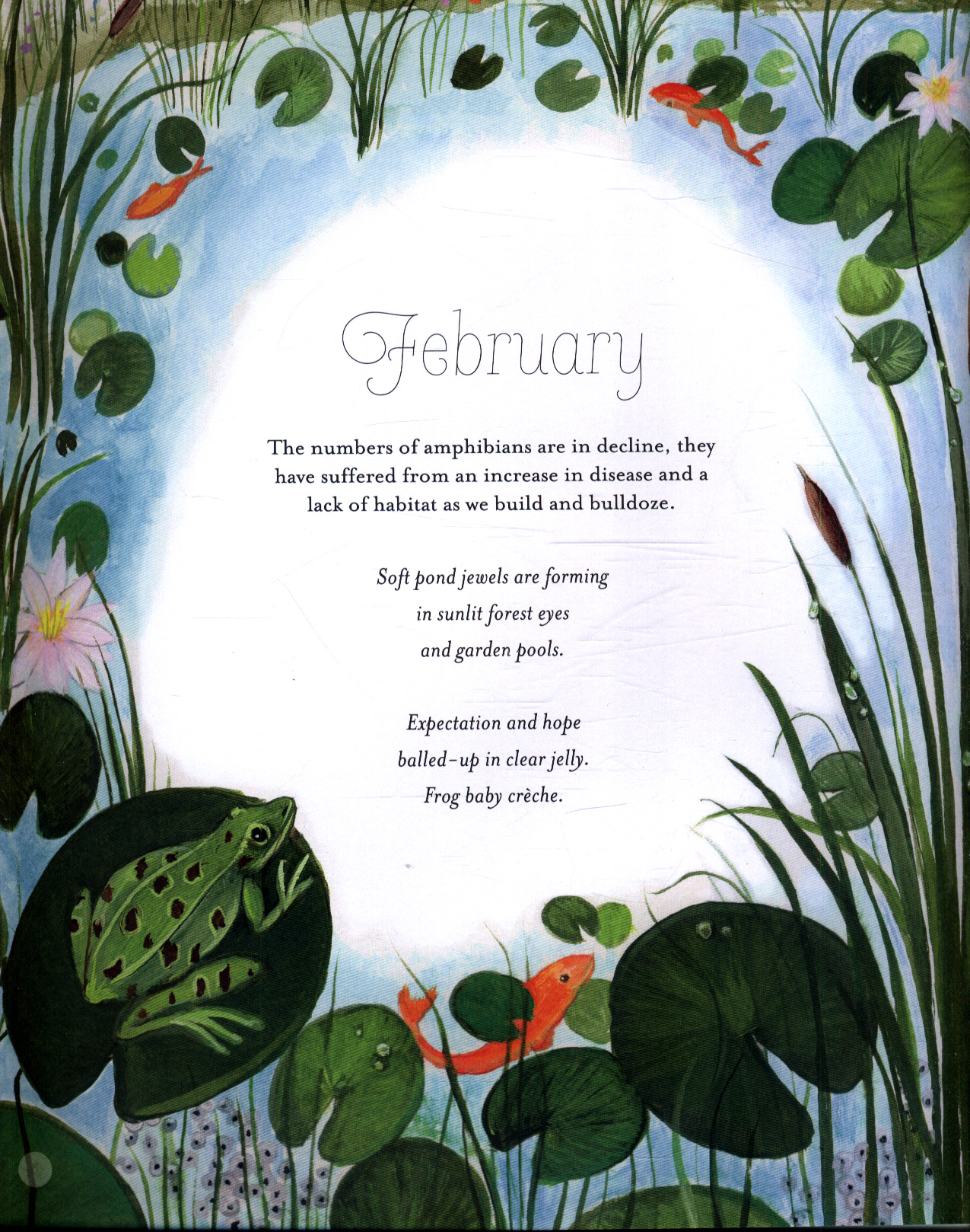 A Year of Nature Poems by Coelho, Joseph (9781786035820) | Browns Books