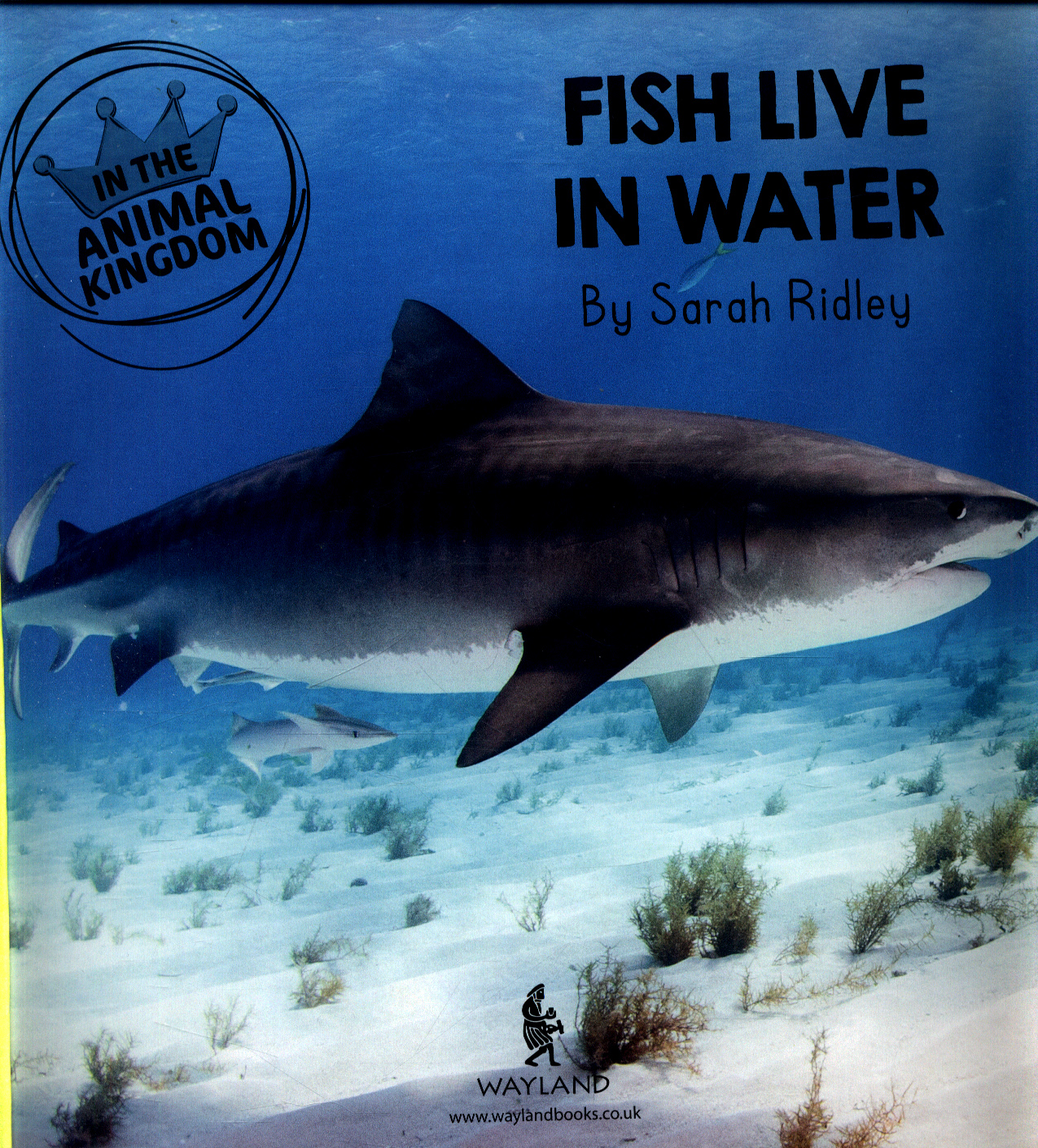 In the Animal Kingdom: Fish Live in Water by Ridley, Sarah ...