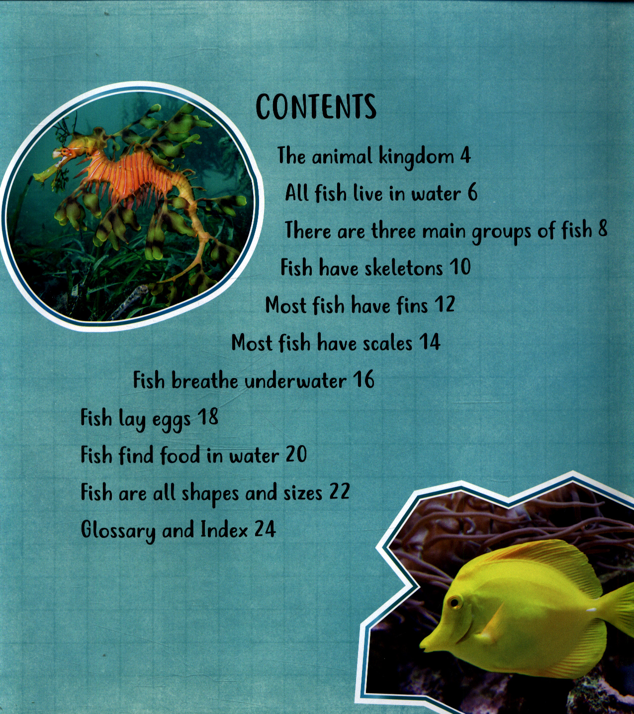 In the Animal Kingdom: Fish Live in Water by Ridley, Sarah ...