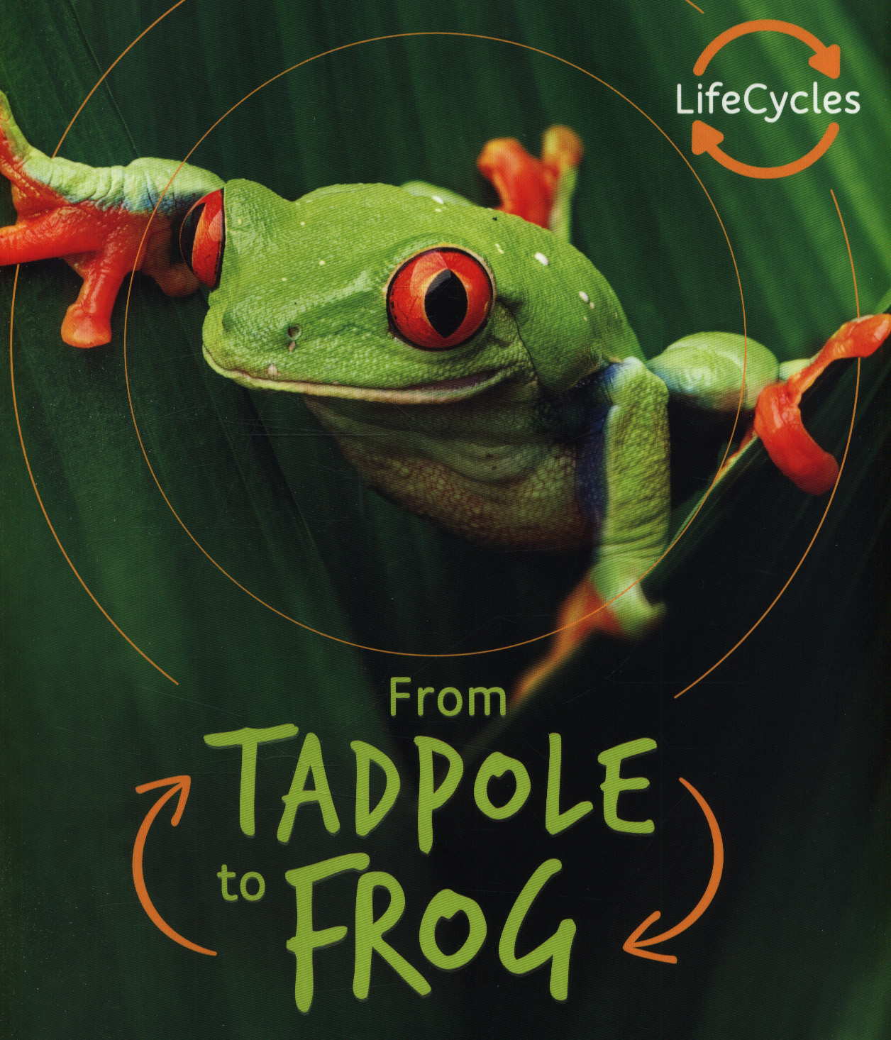 Lifecycles: Tadpole to Frog by de la Bedoyere, Camilla (9781786036230 ...
