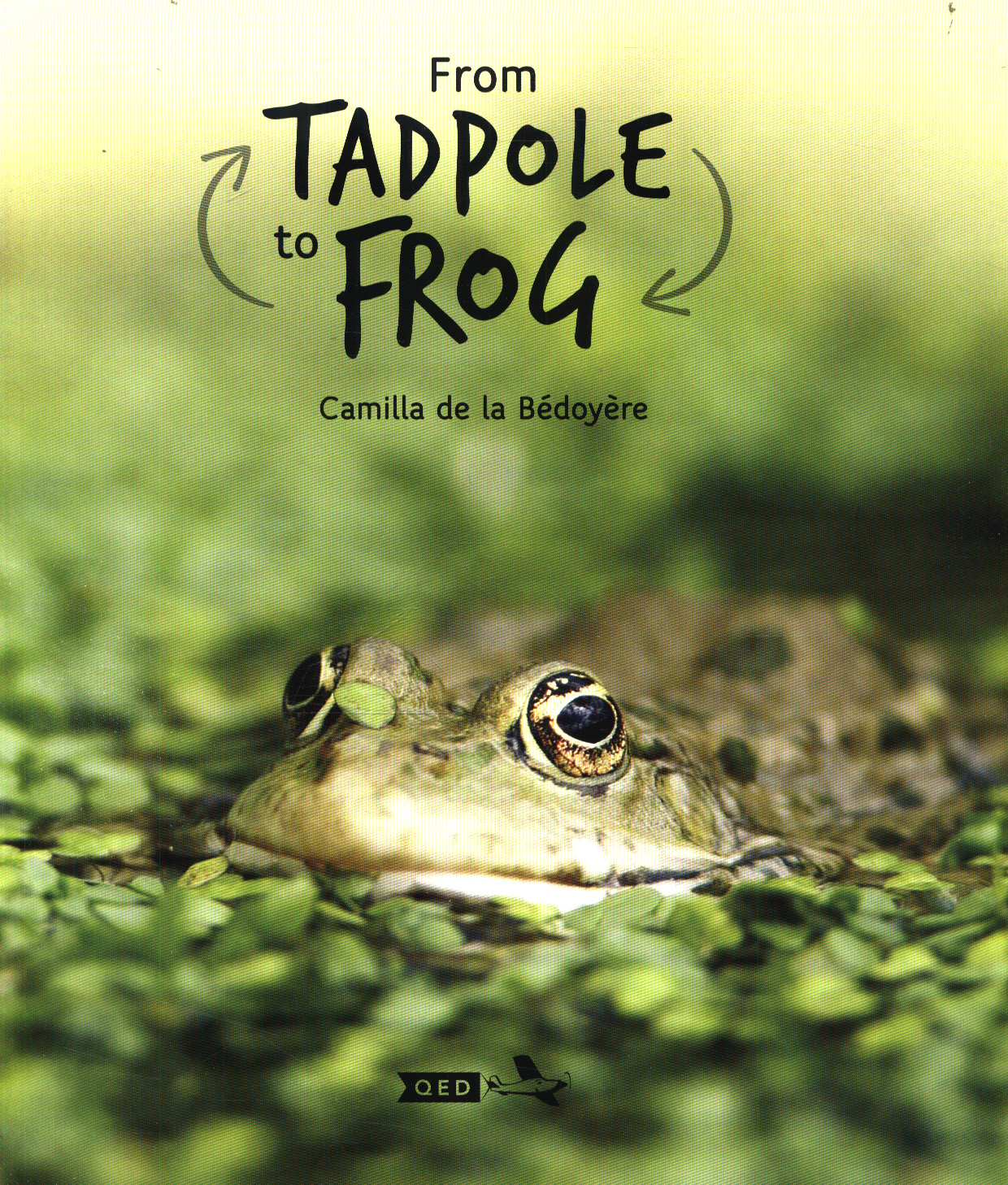Lifecycles: Tadpole to Frog by de la Bedoyere, Camilla (9781786036230 ...