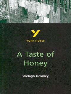 A Taste of Honey York Notes GCSE English Literature Study Guide - for ...