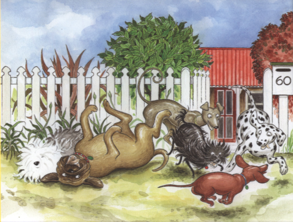 Hairy Maclary, Shoo by Dodd, Lynley (9780141328065) | Browns Books