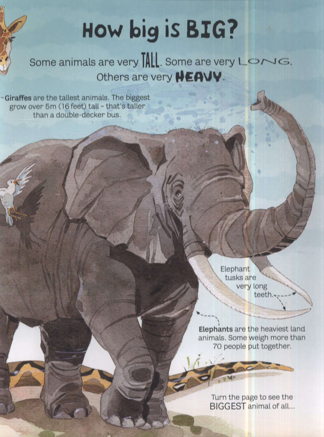 The Usborne big book of big animals