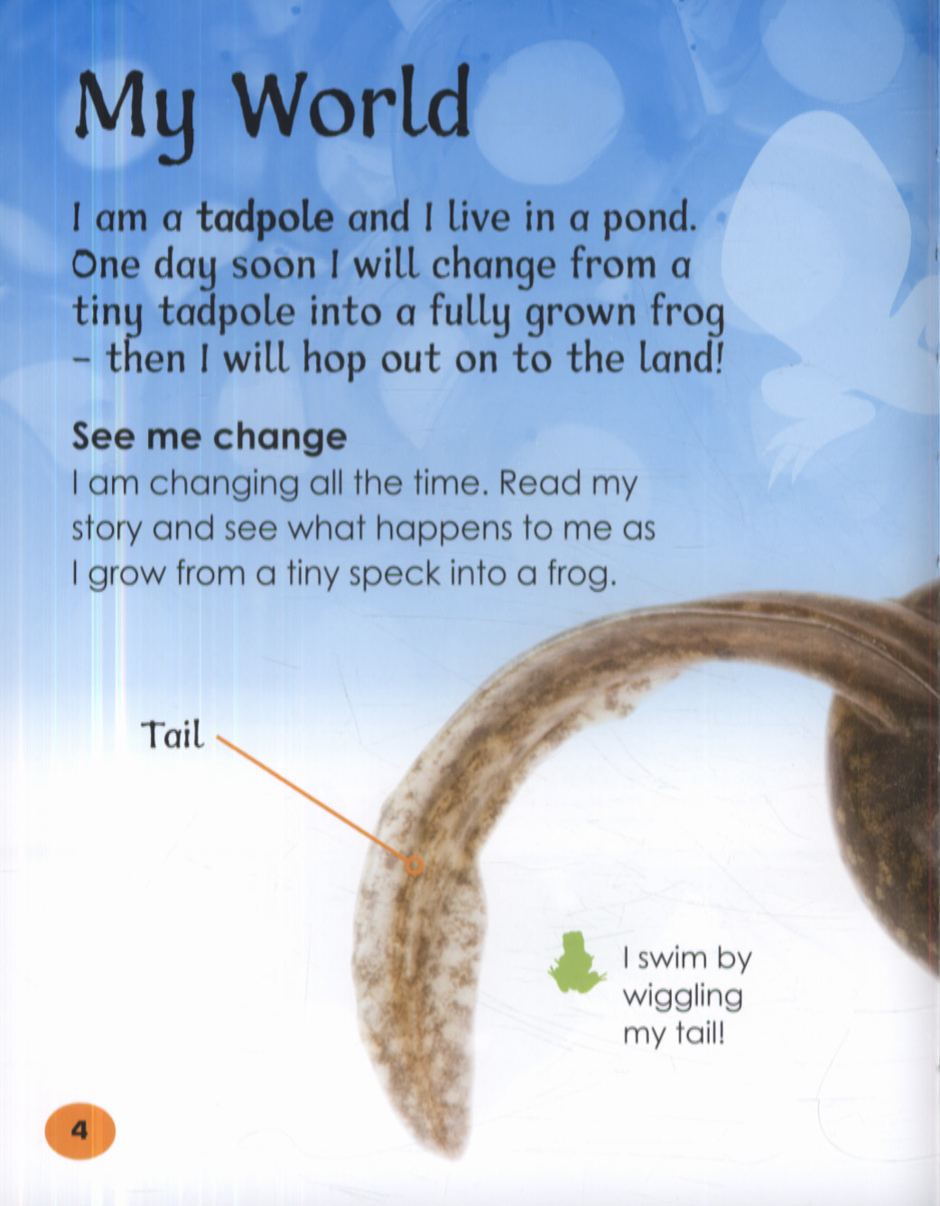 Tadpole story
