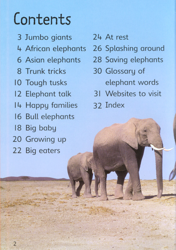 Elephants