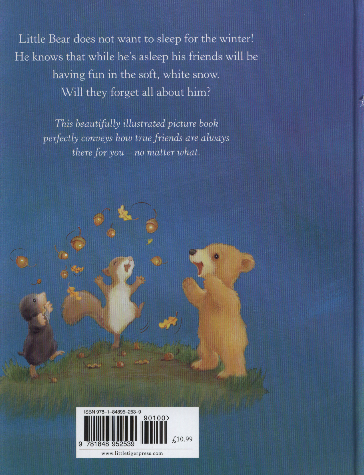 When Will it Snow? by White, Kathryn (9781848952539) | Browns Books