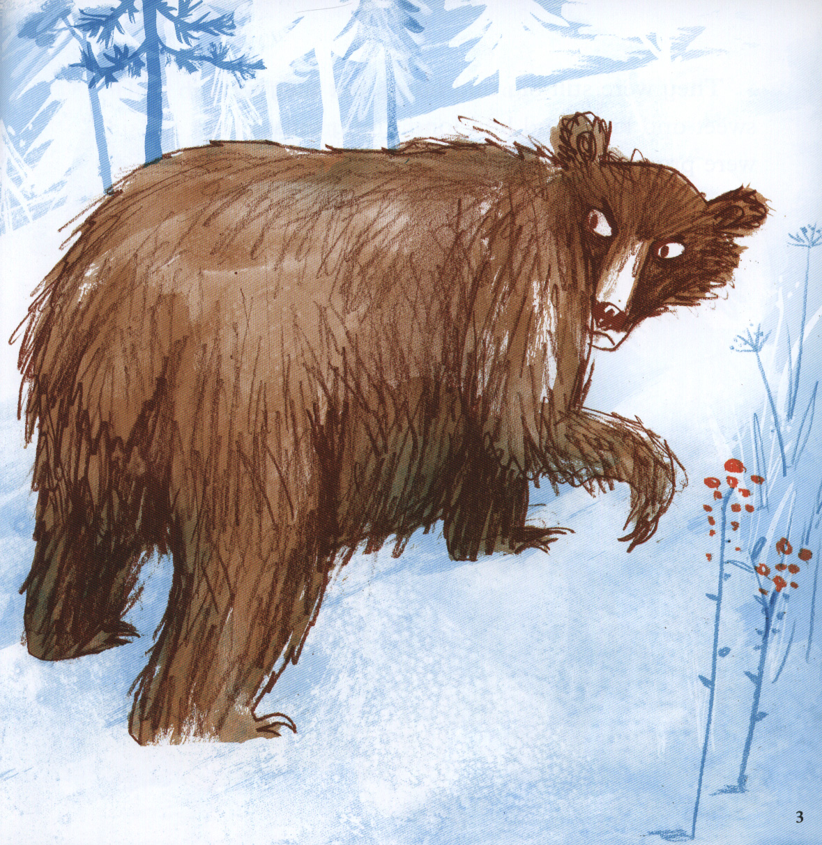 Oxford Reading Tree Traditional Tales: Level 6: The Bear Lost Its Tail ...