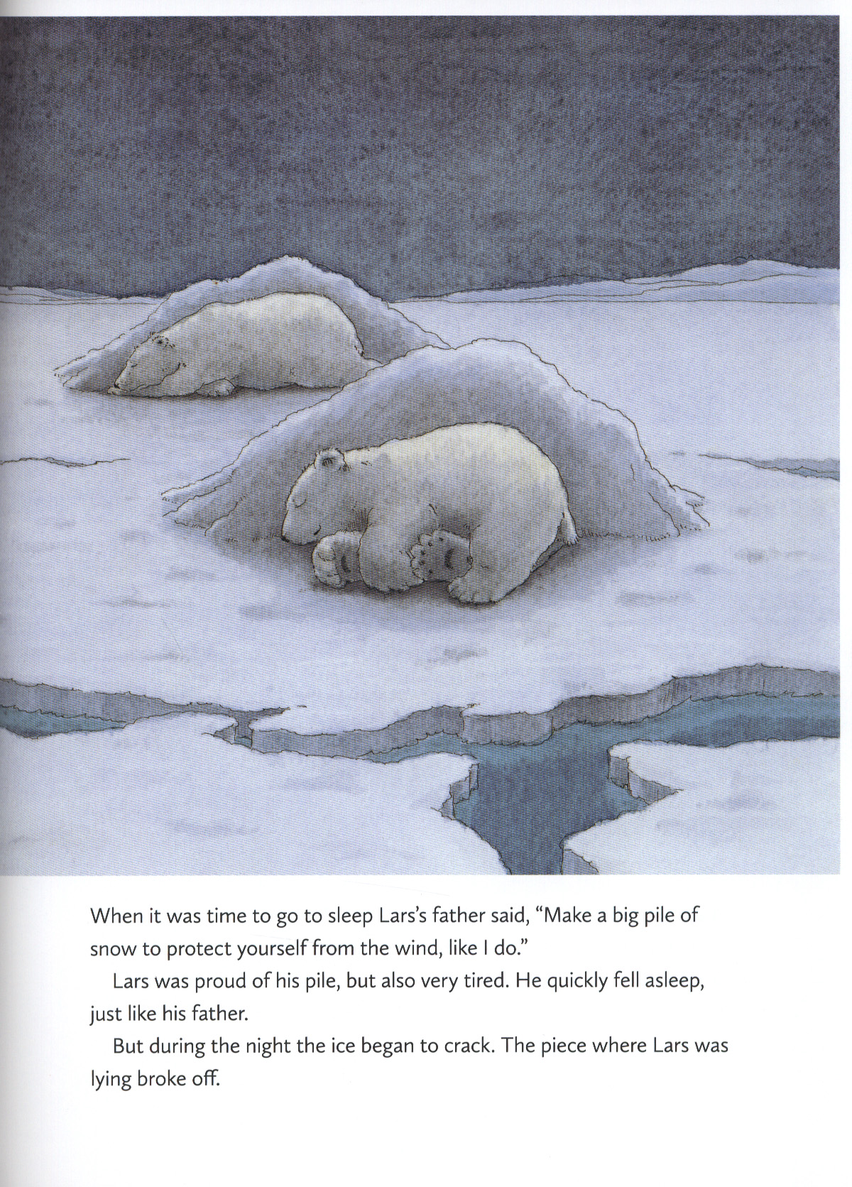 Little Polar Bear by Beer, Hans de (9780735840522) | Browns Books