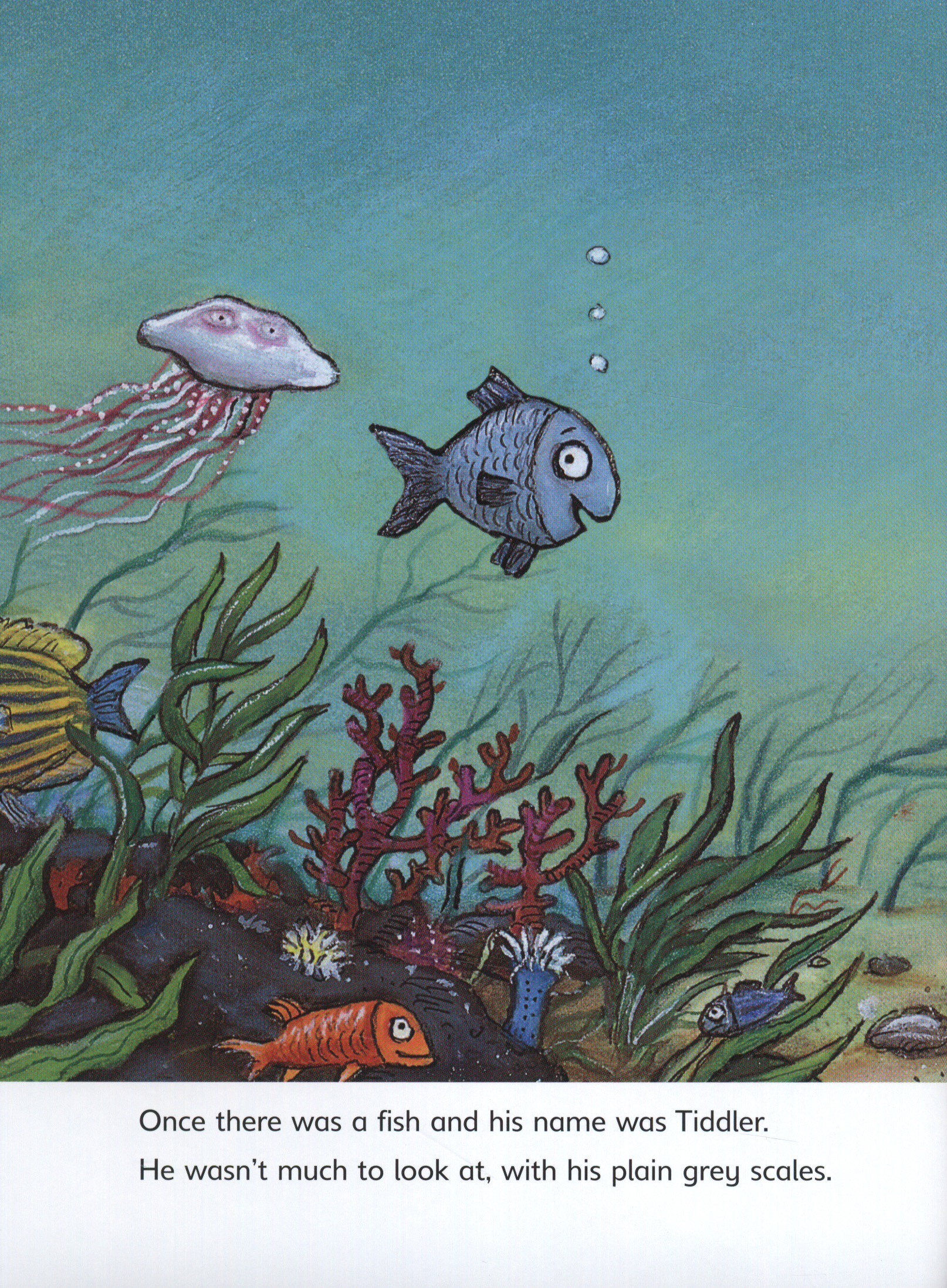 Tiddler Reader by Donaldson, Julia (9781407130477) | Browns Books