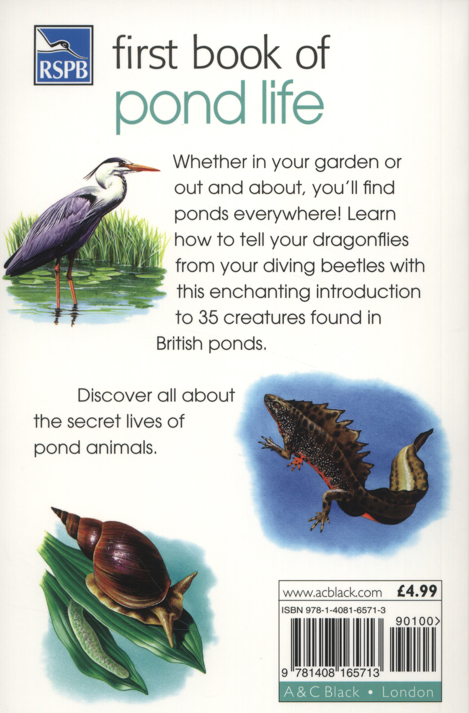 RSPB First Book Of Pond Life by Niemann, Derek (9781408165713) | Browns ...