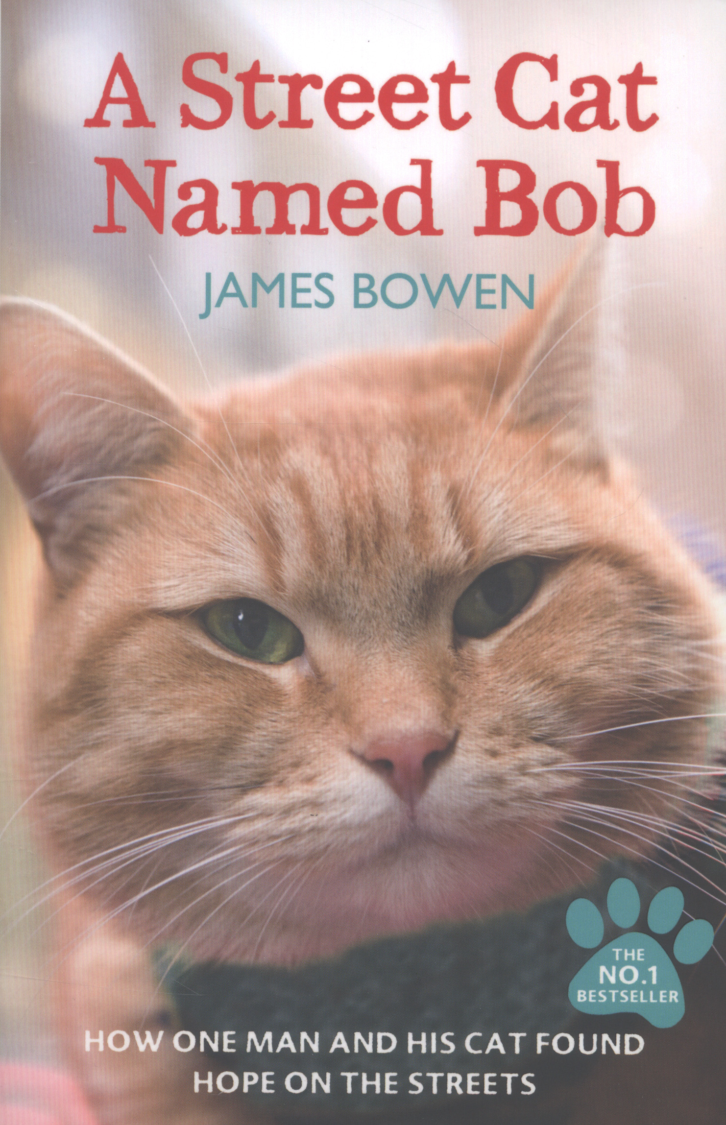 A Street Cat Named Bob By Bowen James 9781444737110 BrownsBfS