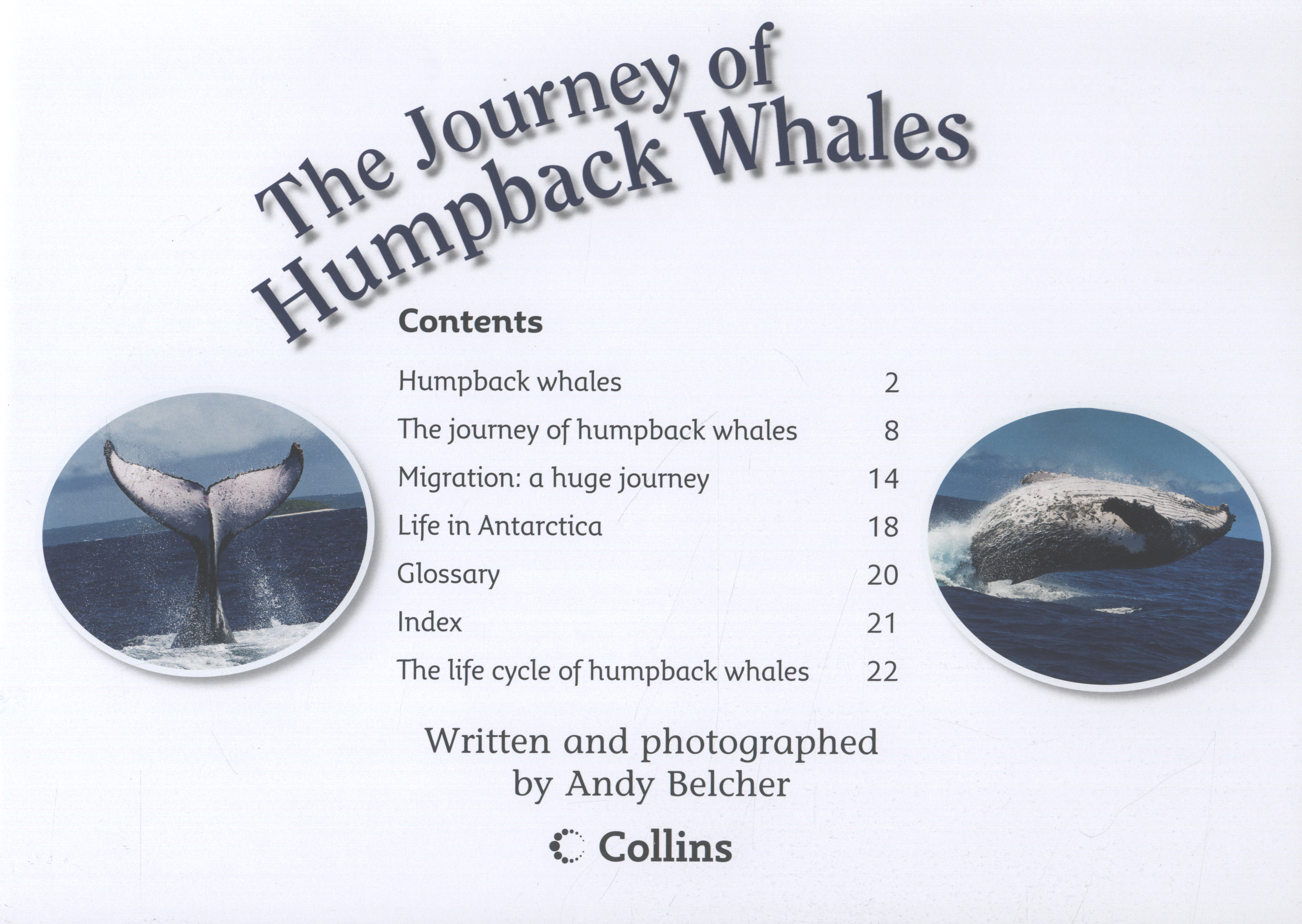 The Journey of Humpback Whales by Belcher, Andy (9780007461820 ...