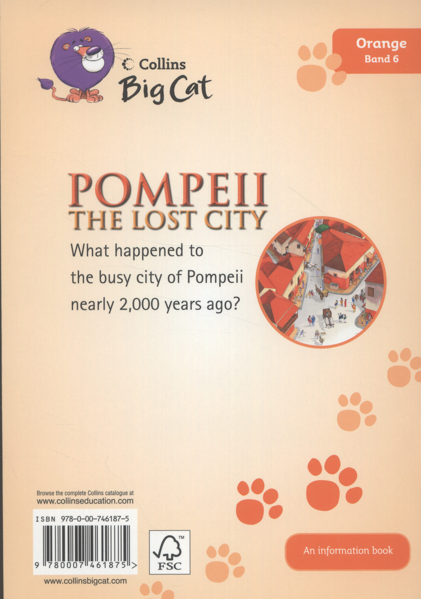 Pompeii : the lost city