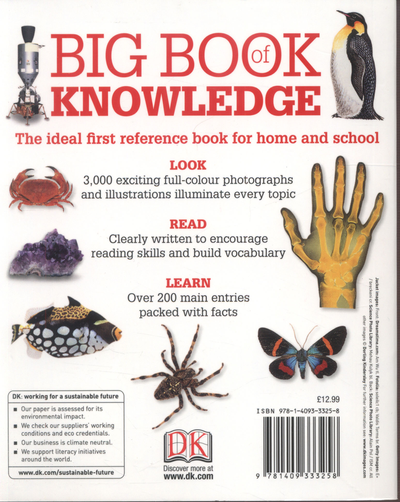 Big book of knowledge ([New] edition)