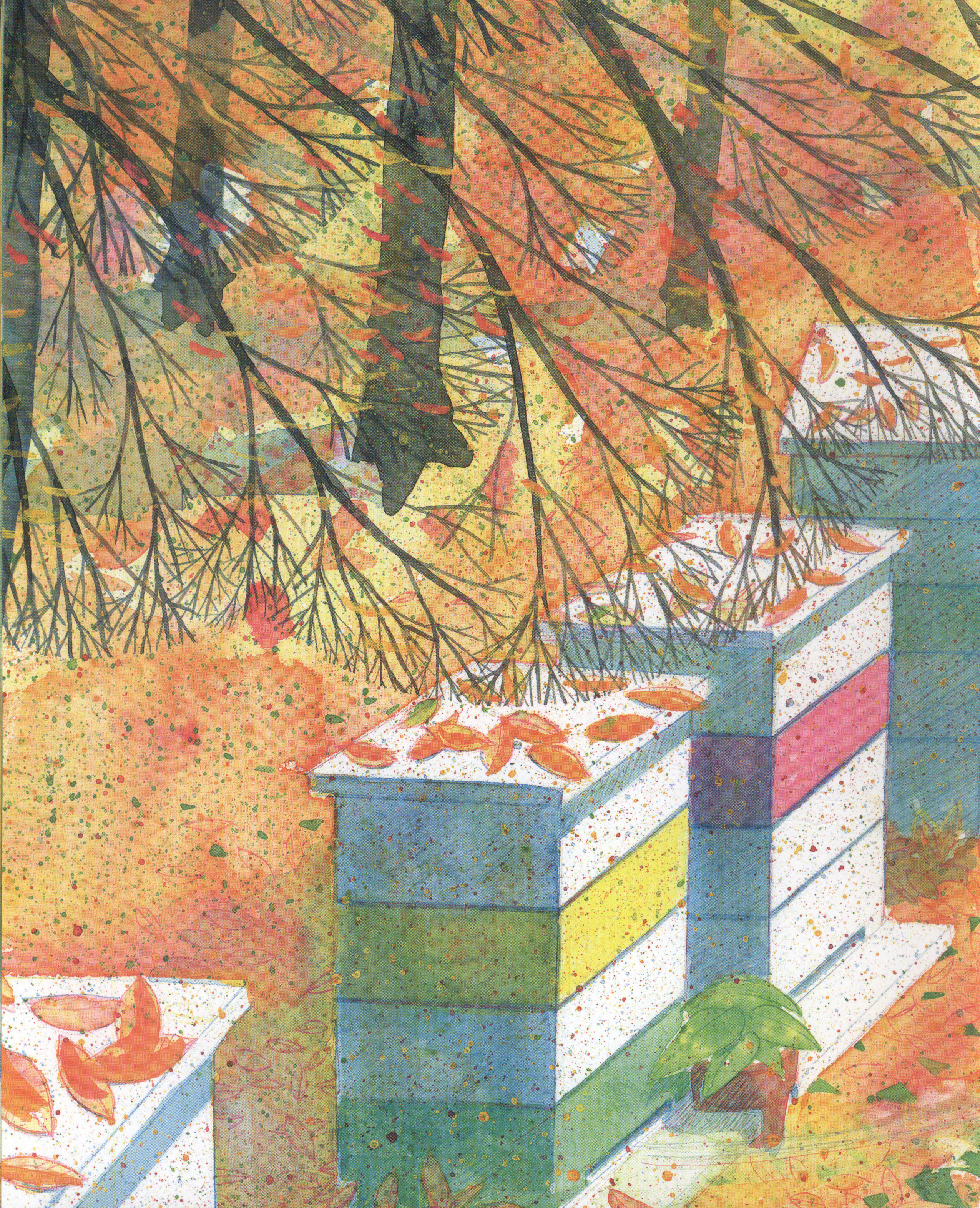 Flight of the Honey Bee by Huber, Raymond (9781406348477) | Browns Books