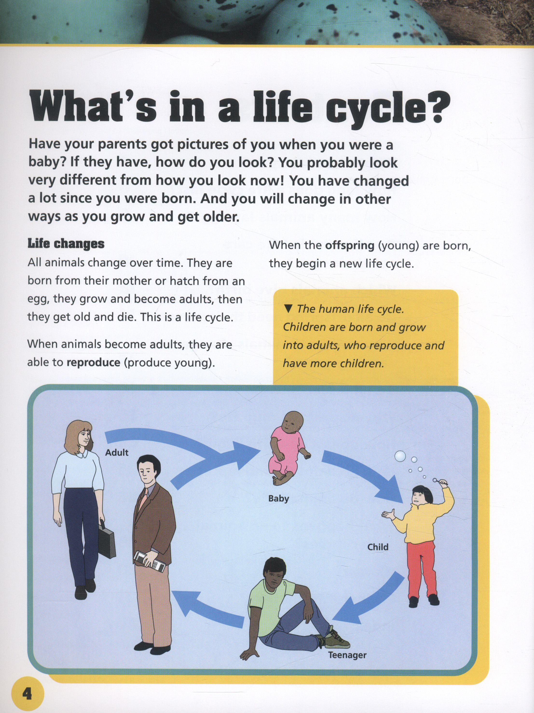 Science Secrets: Secrets of Animal Life Cycles