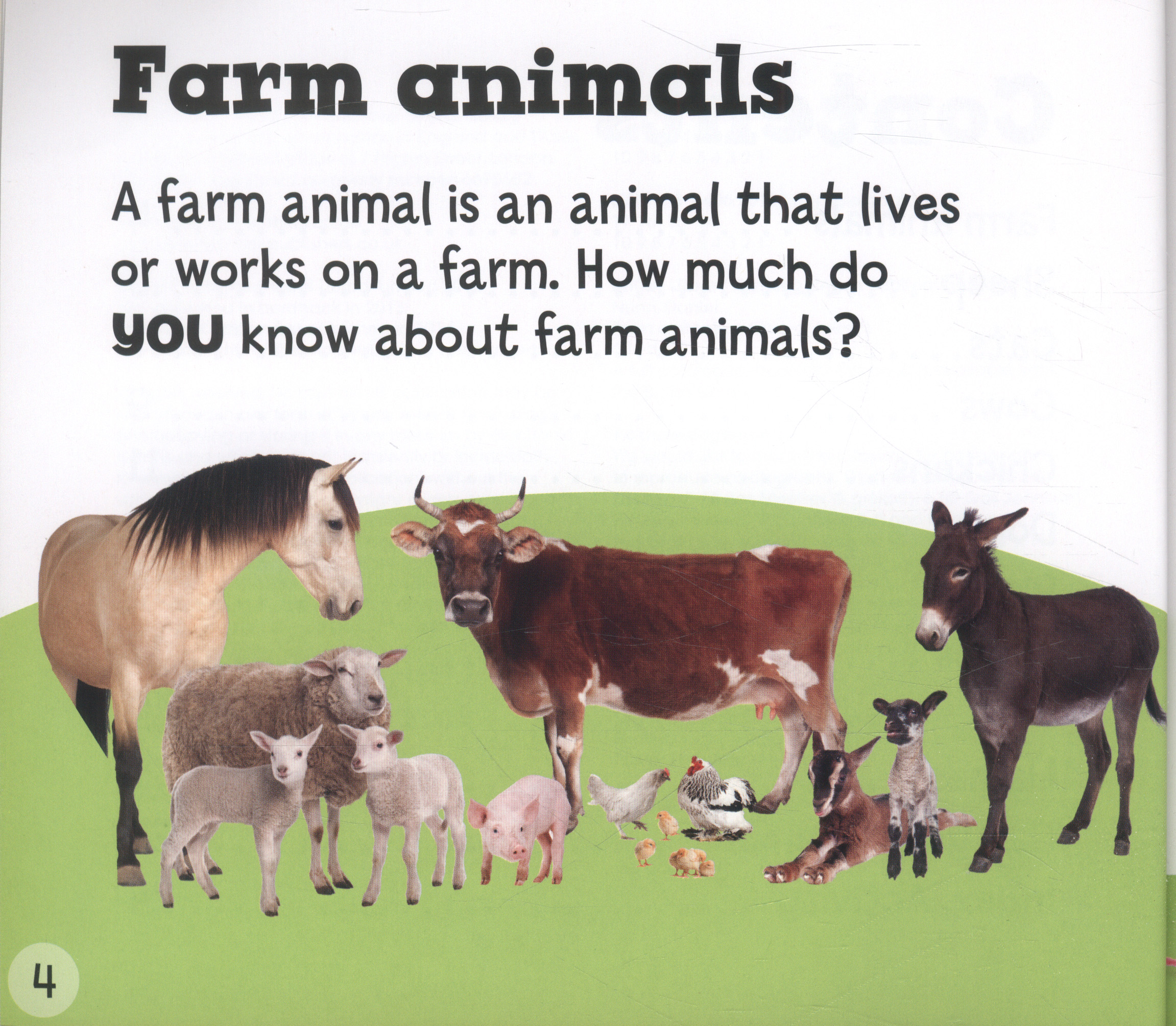 True or False? Farm Animals by Nunn, Daniel (9781406251623) | Browns Books
