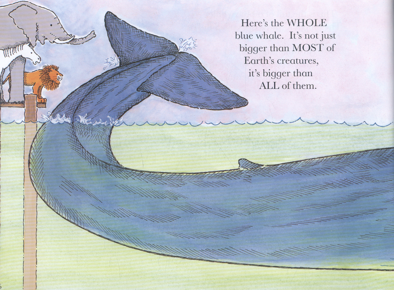 Wonderwise: Is A Blue Whale The Biggest Thing There is?: A book about ...