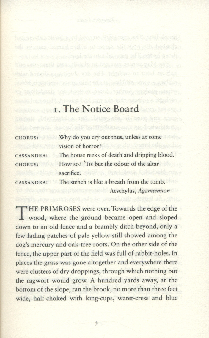 Watership Down by Adams, Richard (9780141354965) | Browns Books