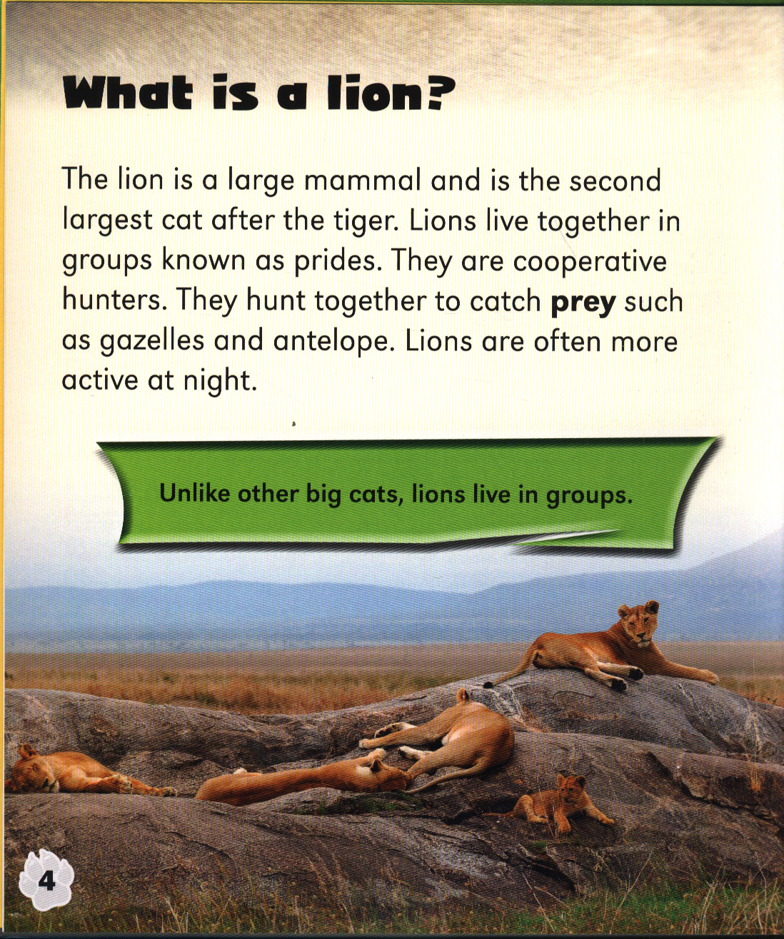 Lion Habitats Under Threat : A Cause and Effect Text
