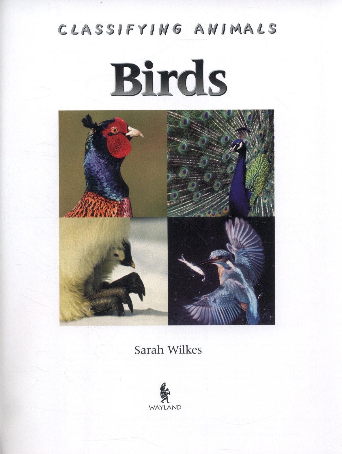 Classifying Animals: Birds by Wilkes, Sarah (9780750284820) | Browns Books
