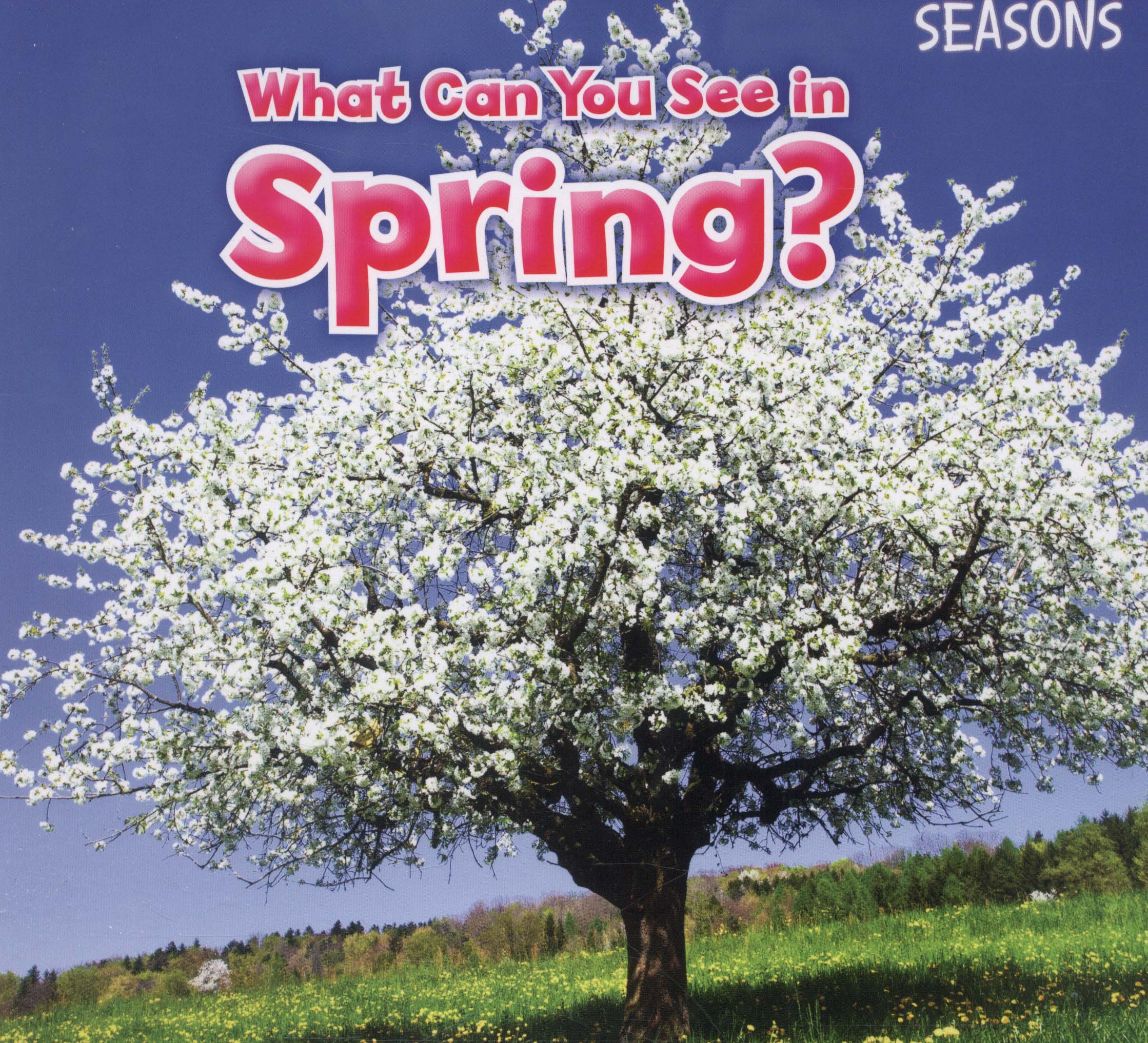 What Can You See In Spring? by Smith, Sian (9781406283228) | Browns Books