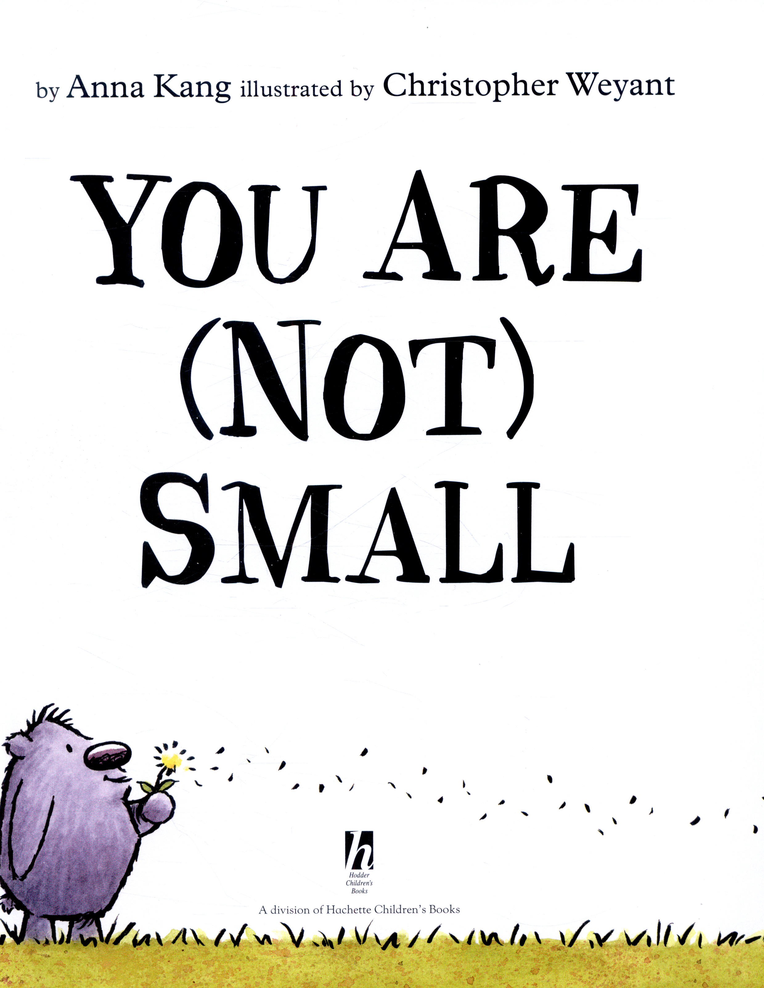 You are (not) small