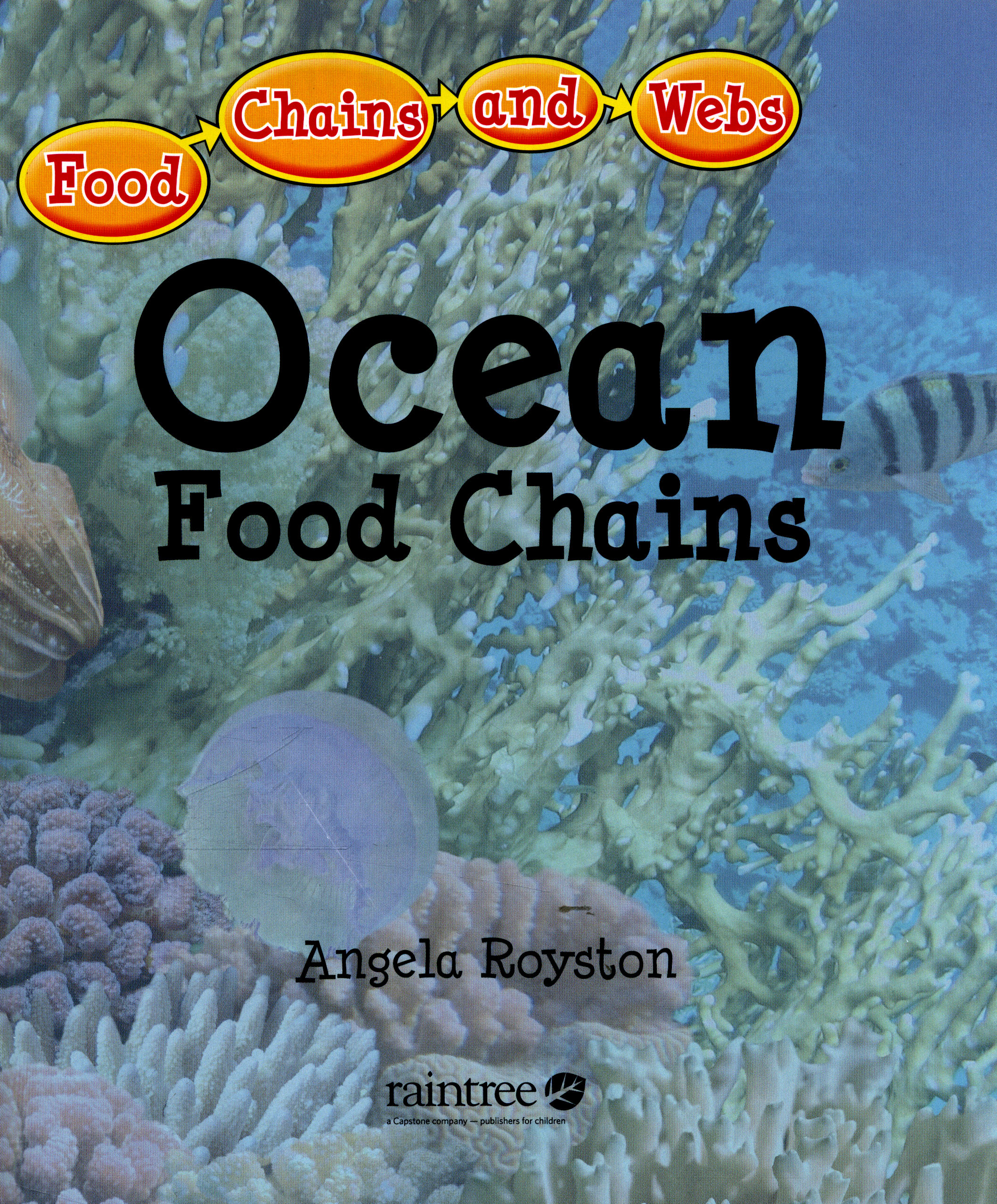 Ocean food chains