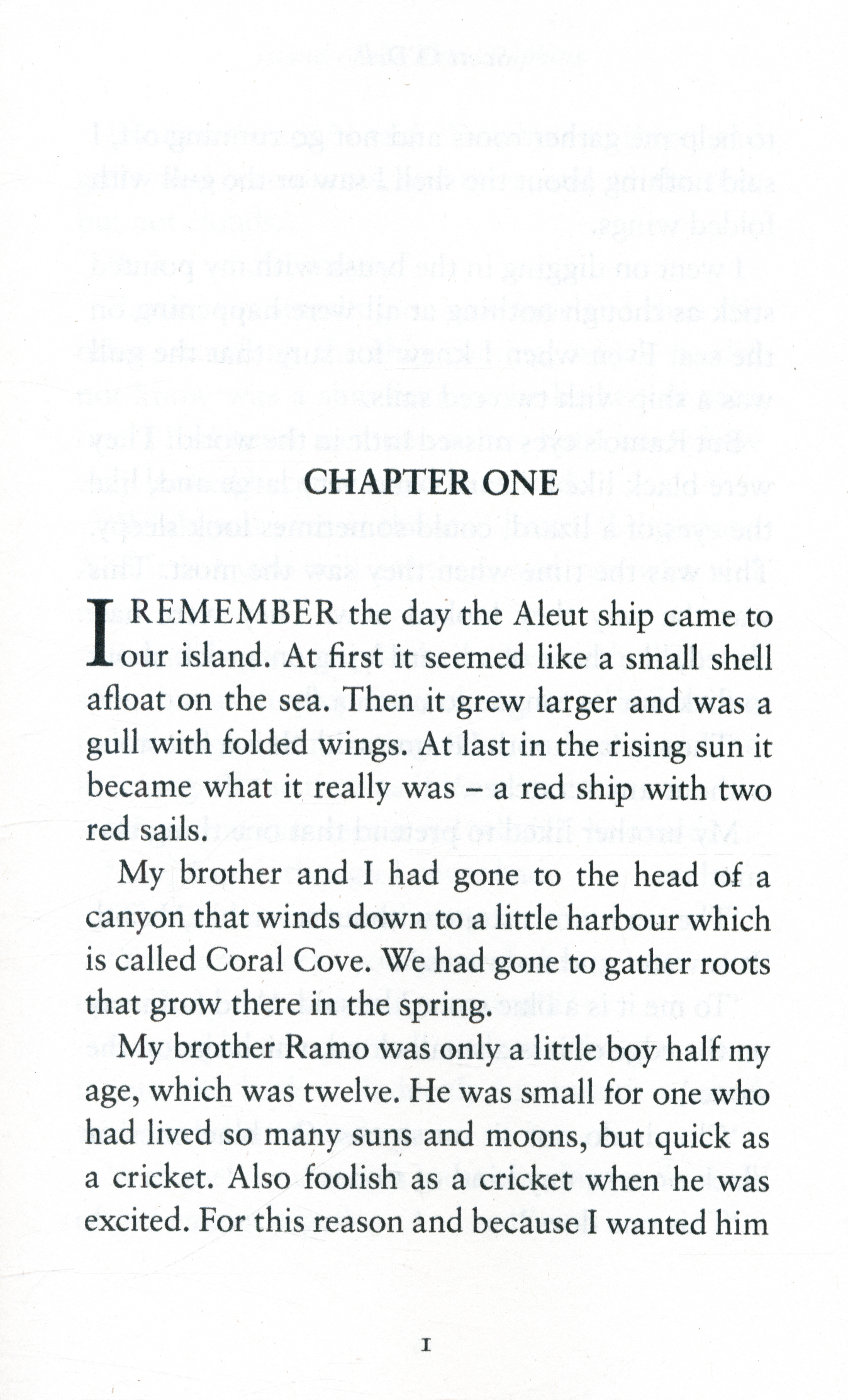 Island of the Blue Dolphins by O'Dell, Scott (9780141368627) | Browns Books