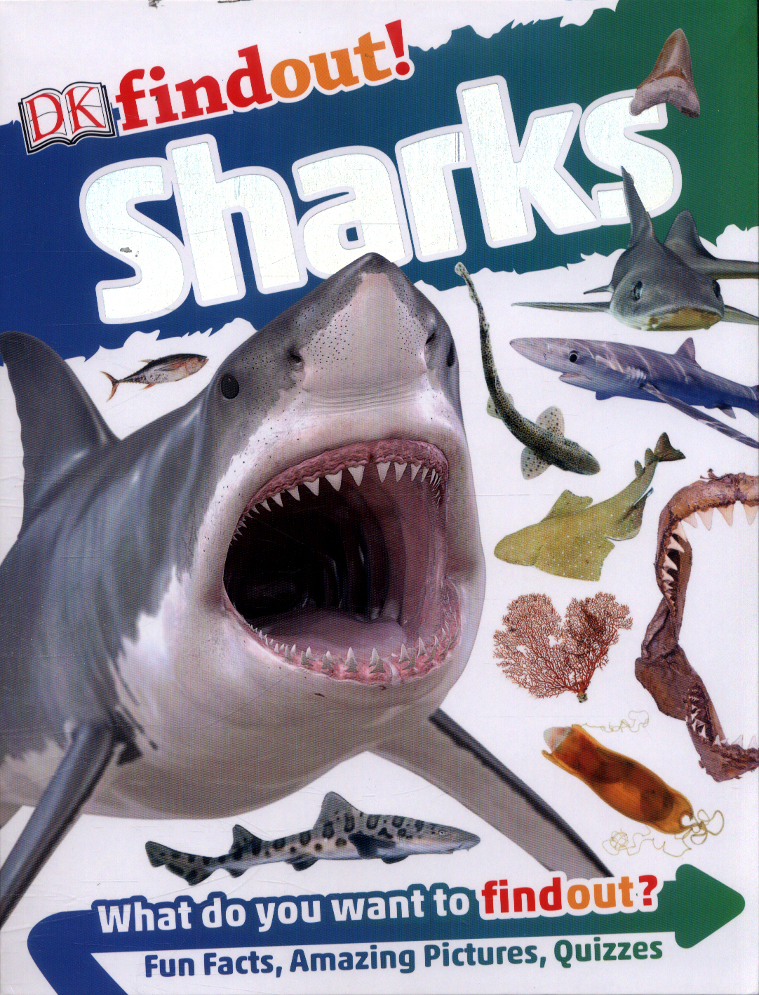 sharks dk part of the dkfindout series see all formats and editions silver award winner in the ...