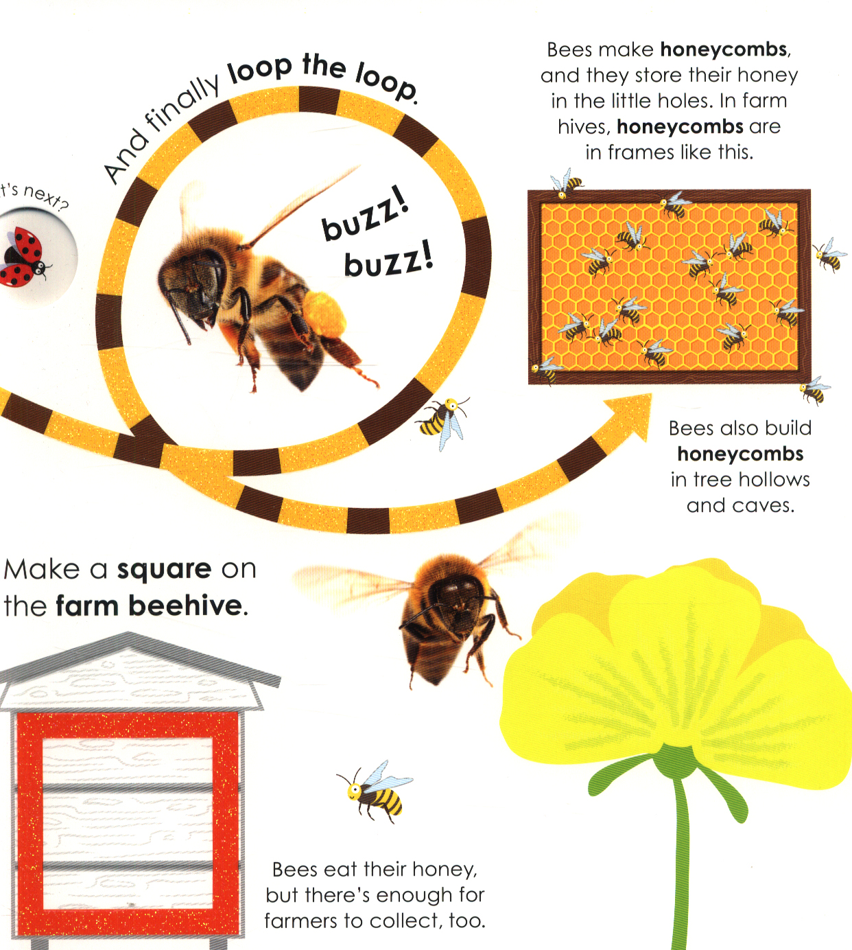 Minibeasts : fun finger trails! by DK (9780241275948) | BrownsBfS
