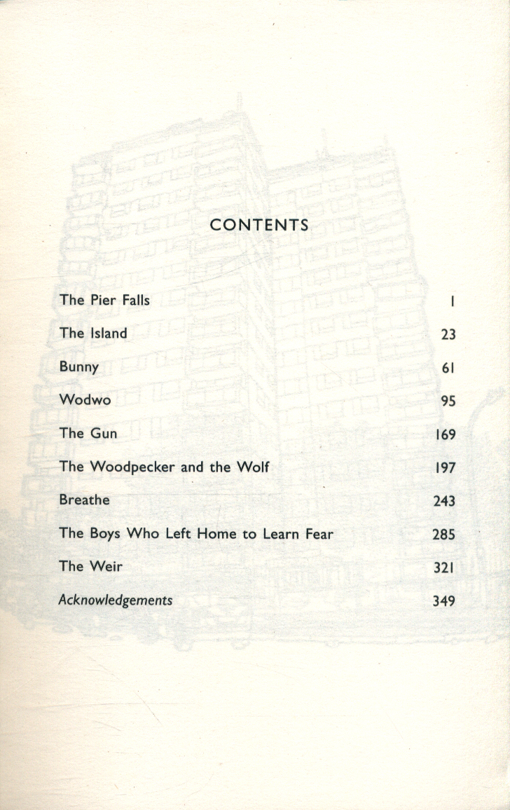 The Pier Falls by Haddon, Mark (9781784701963) | Browns Books