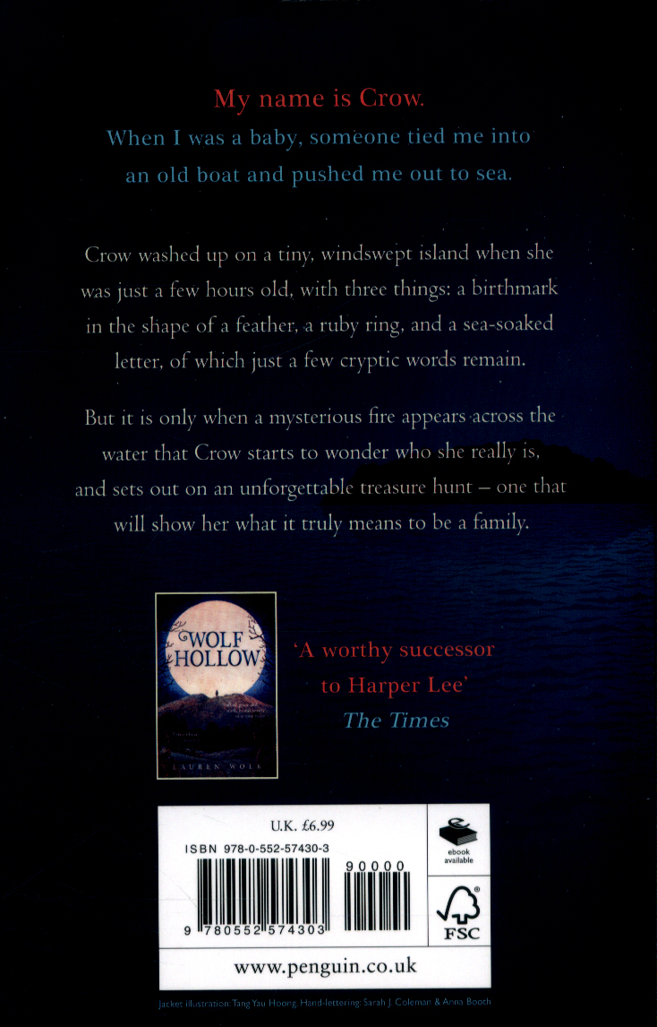 Beyond the Bright Sea by Wolk, Lauren (9780552574303) | Browns Books