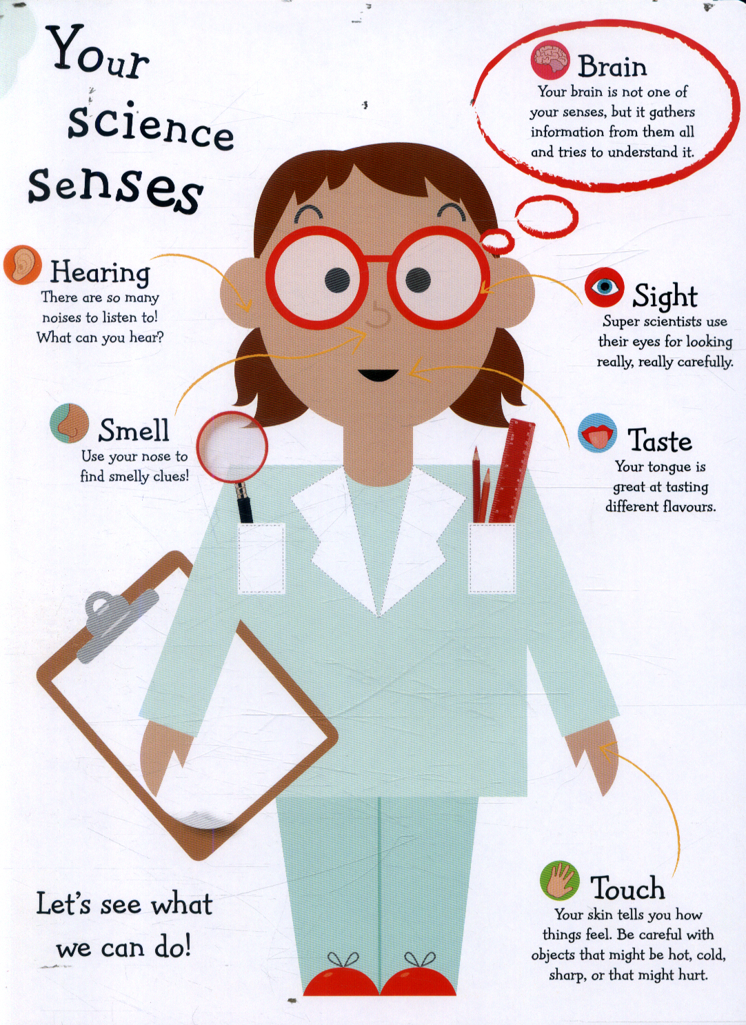 Look I'm a Scientist by DK (9780241231074) | Browns Books