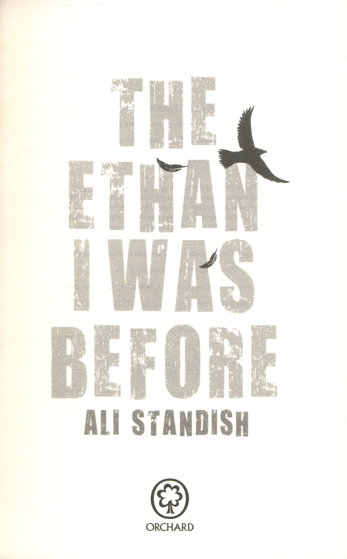 The Ethan I Was Before by Standish, Ali (9781408342923) | Browns Books