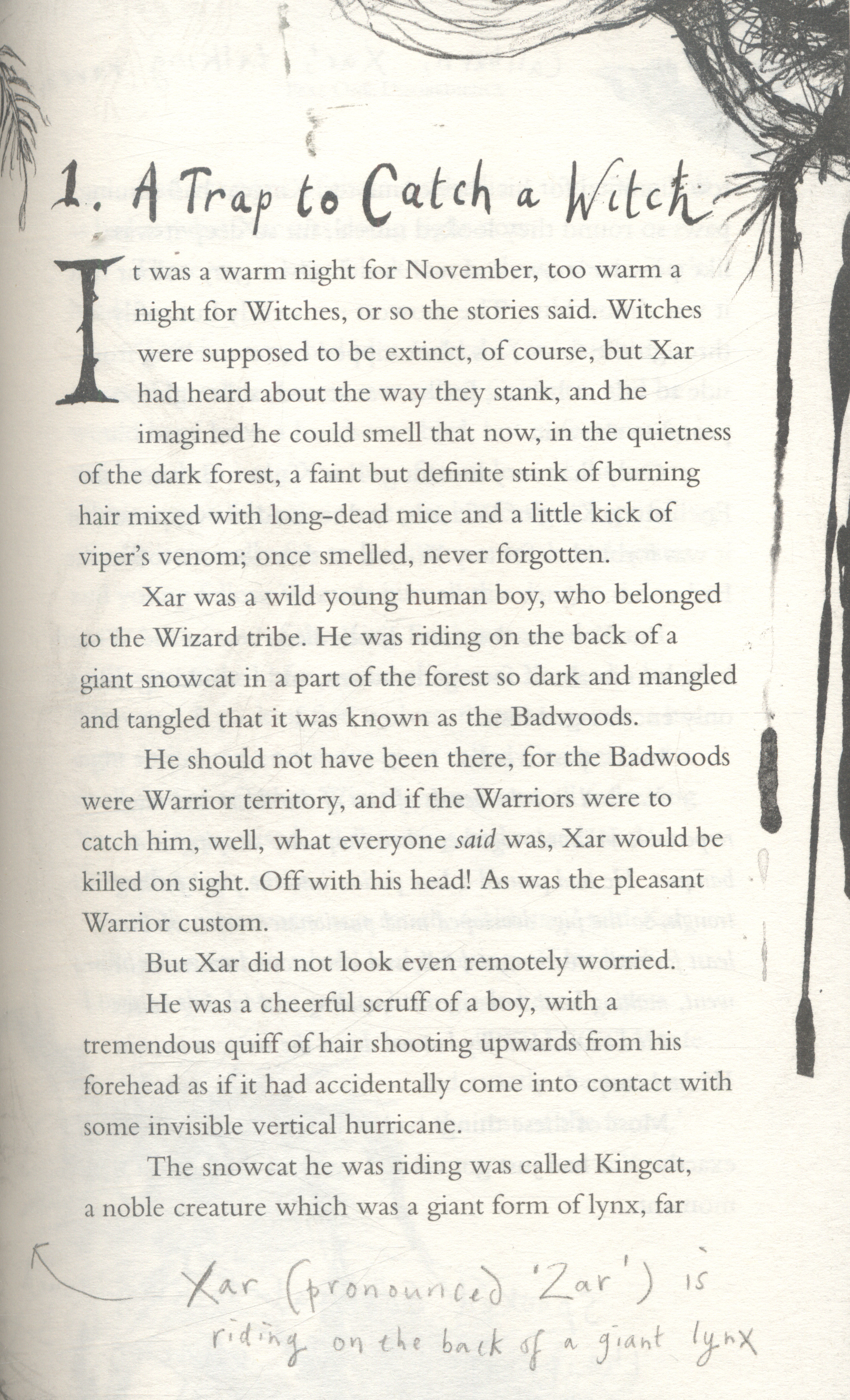 The Wizards of Once : Book 1