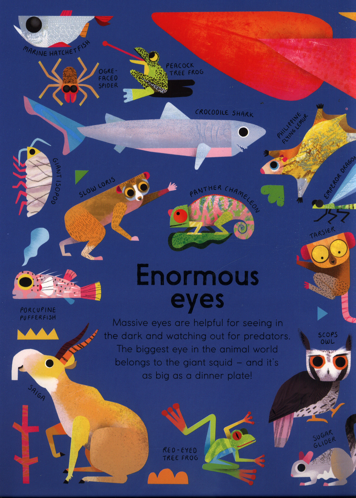 Creature Features: Jungle by Durley, Natasha (9781787410381) | Browns Books