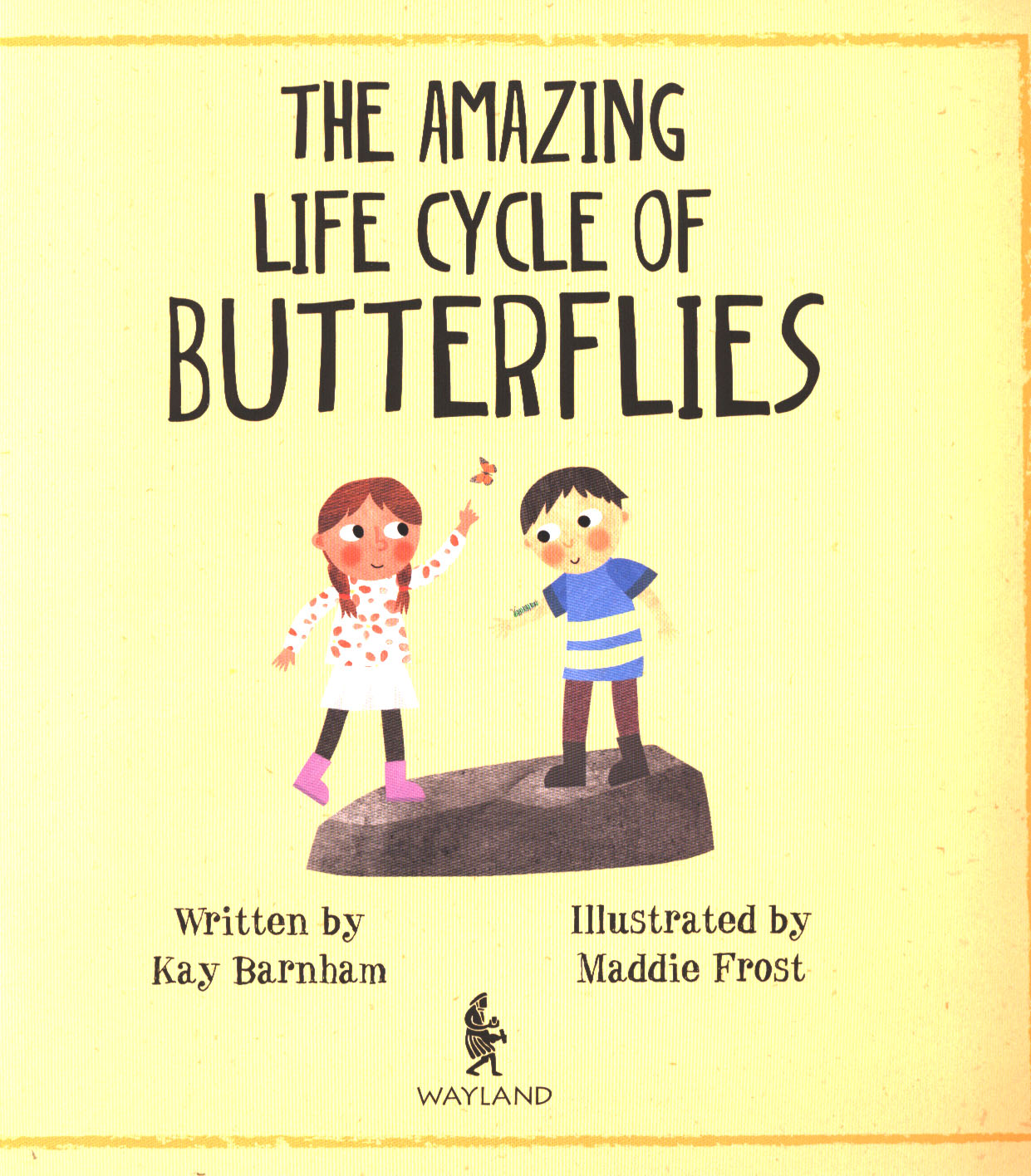 The amazing life cycle of butterflies
