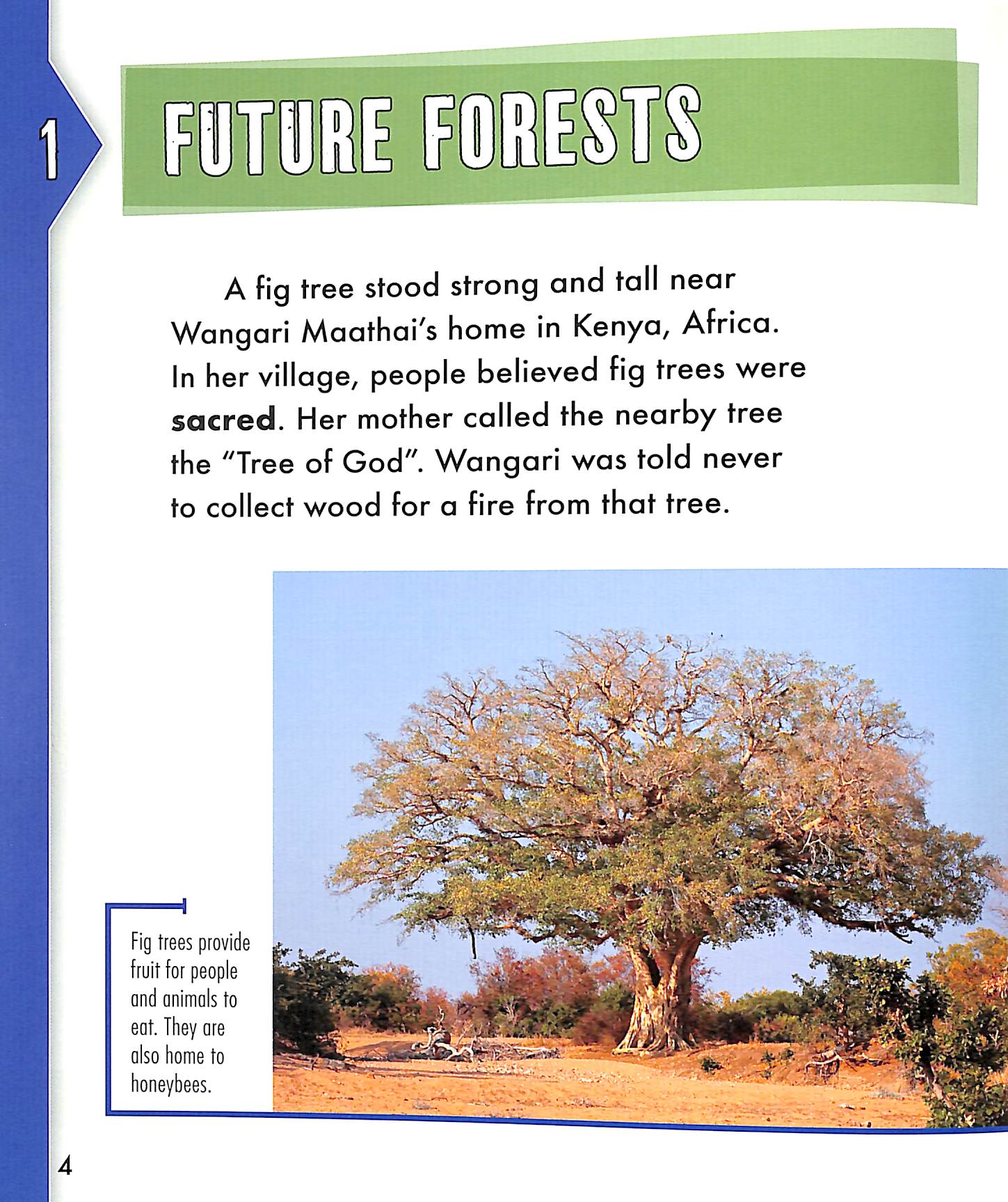 Wangari Maathai : get to know the woman who planted trees to bring change