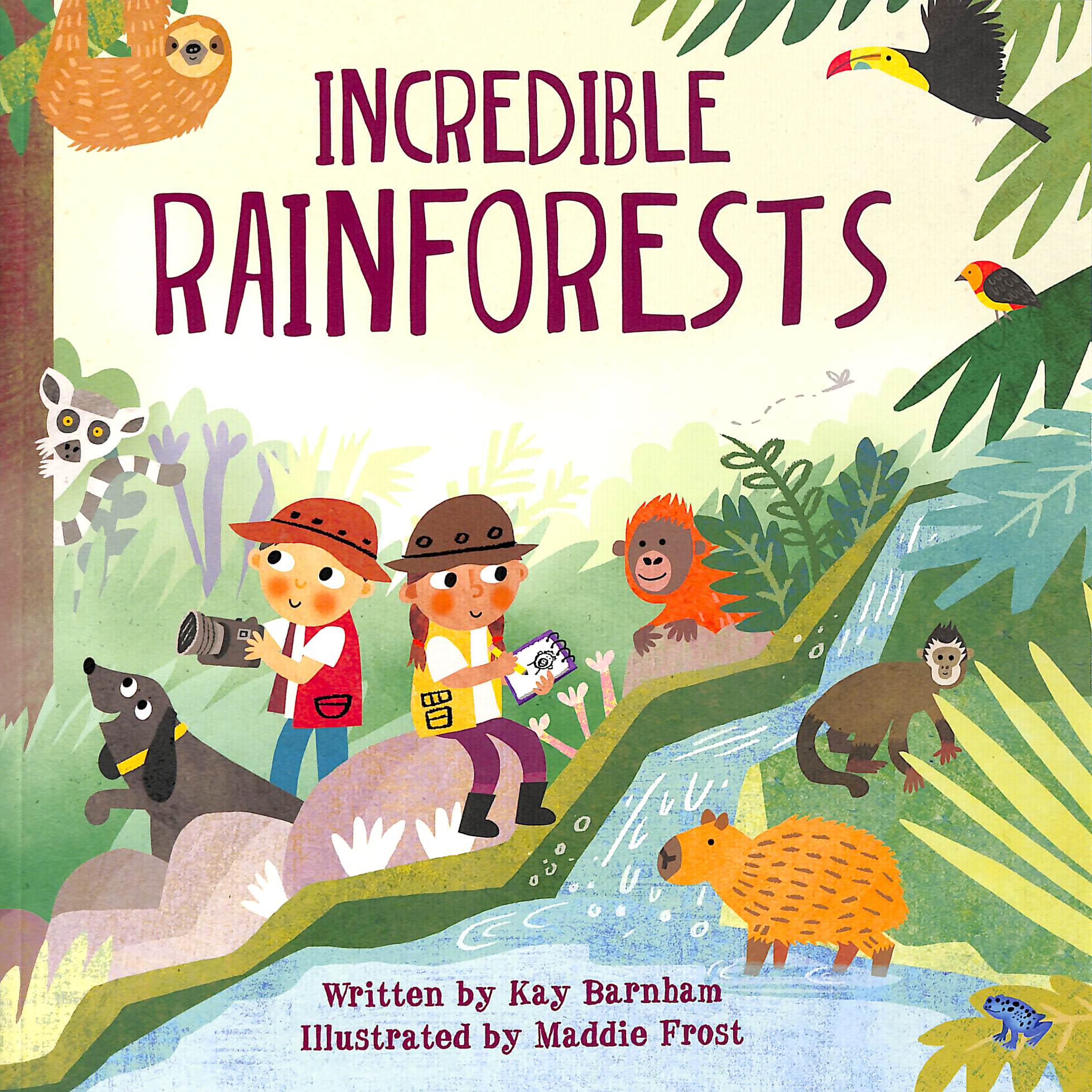 Look and Wonder: Incredible Rainforests by Barnham, Kay (9781526305916 ...