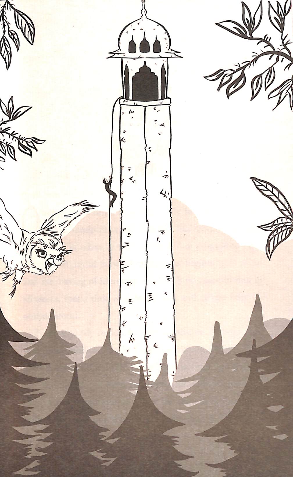 Rumaysa: A Fairytale by Hafiza, Radiya (9781529038309) | Browns Books