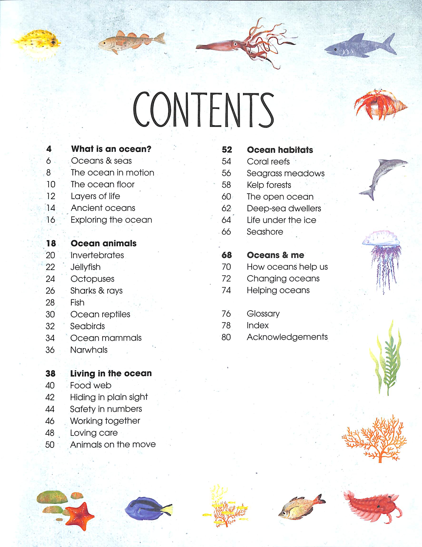 Earth's Incredible Oceans by French, Jess (9780241459140) | Browns Books