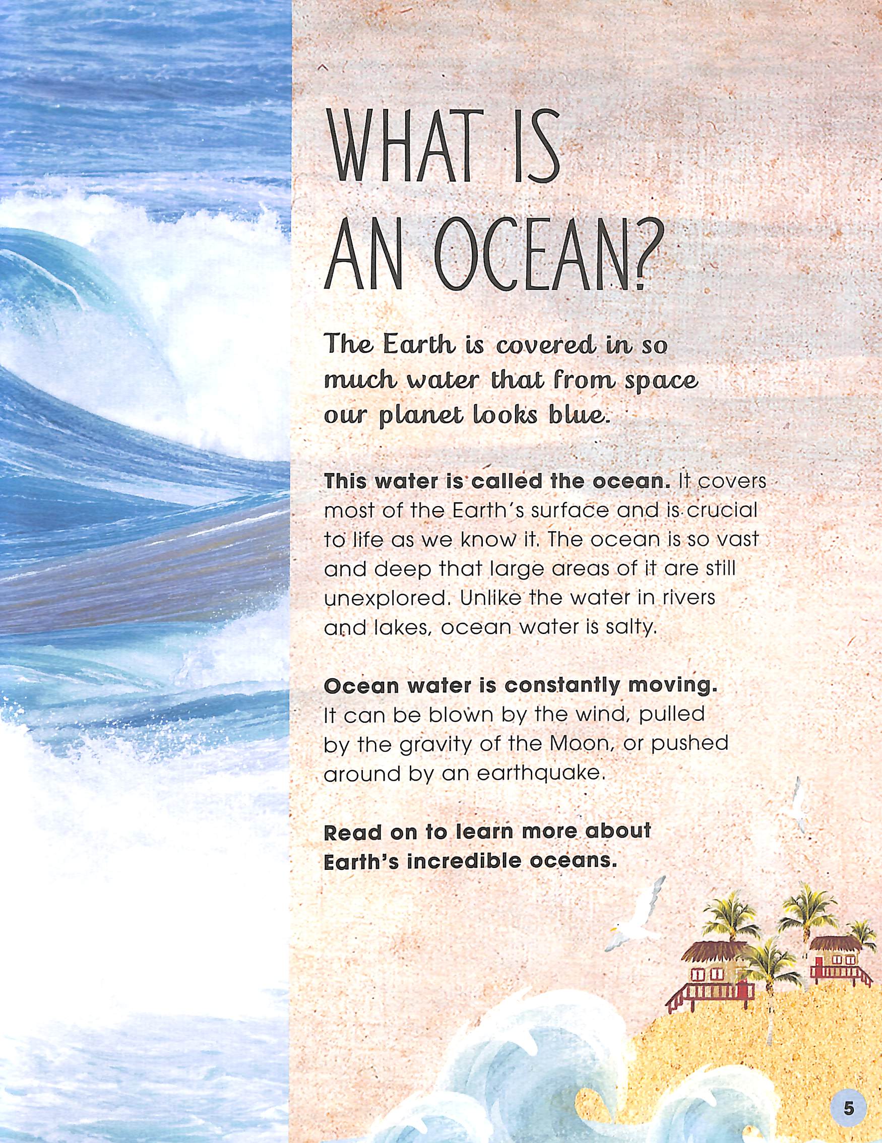 Earth's Incredible Oceans by French, Jess (9780241459140) | Browns Books