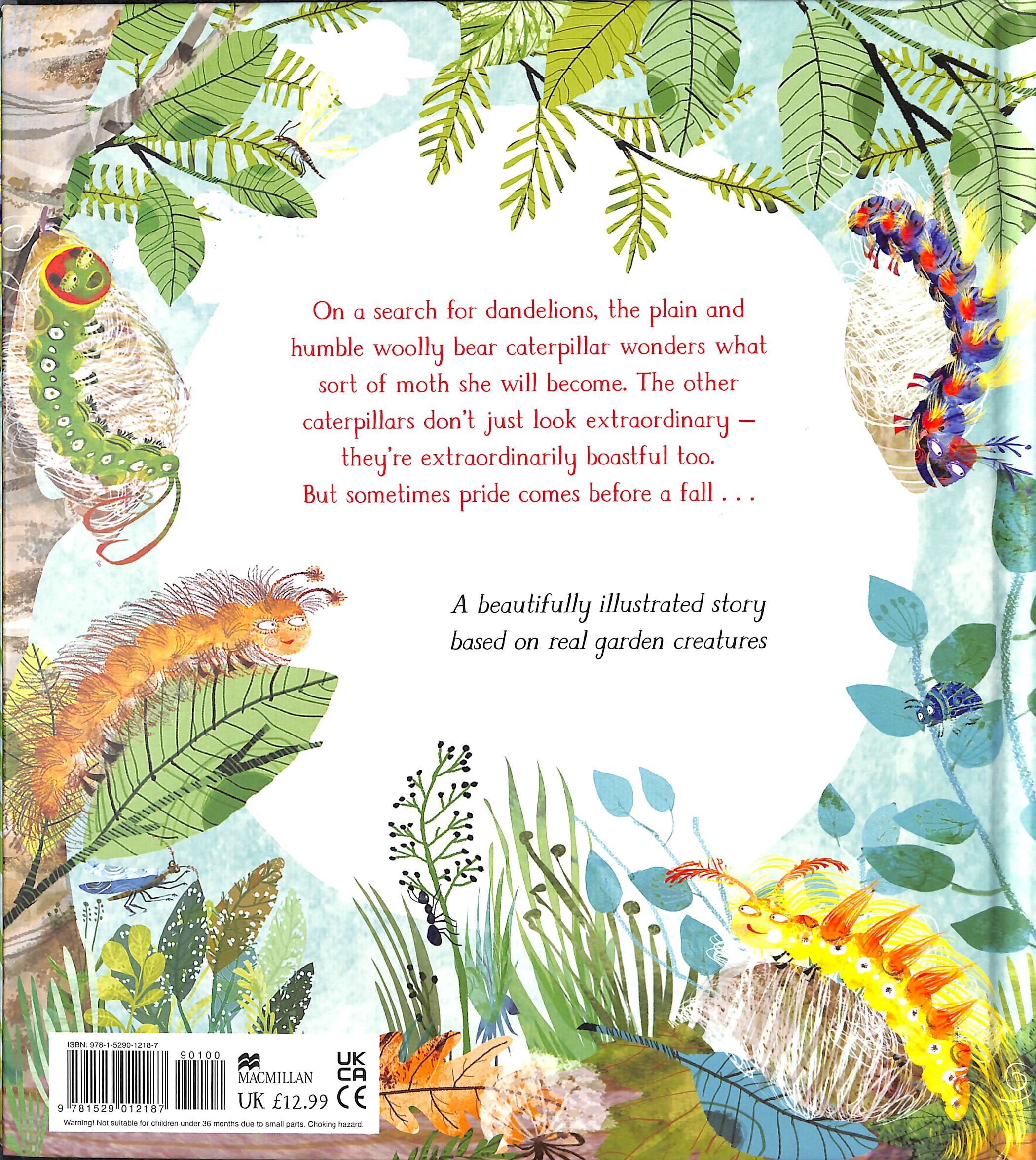 The Woolly Bear Caterpillar by Donaldson, Julia (9781529012187 ...
