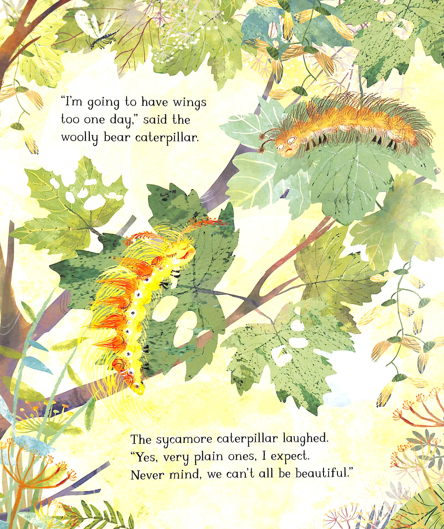 The Woolly Bear Caterpillar by Donaldson, Julia (9781529012187 ...